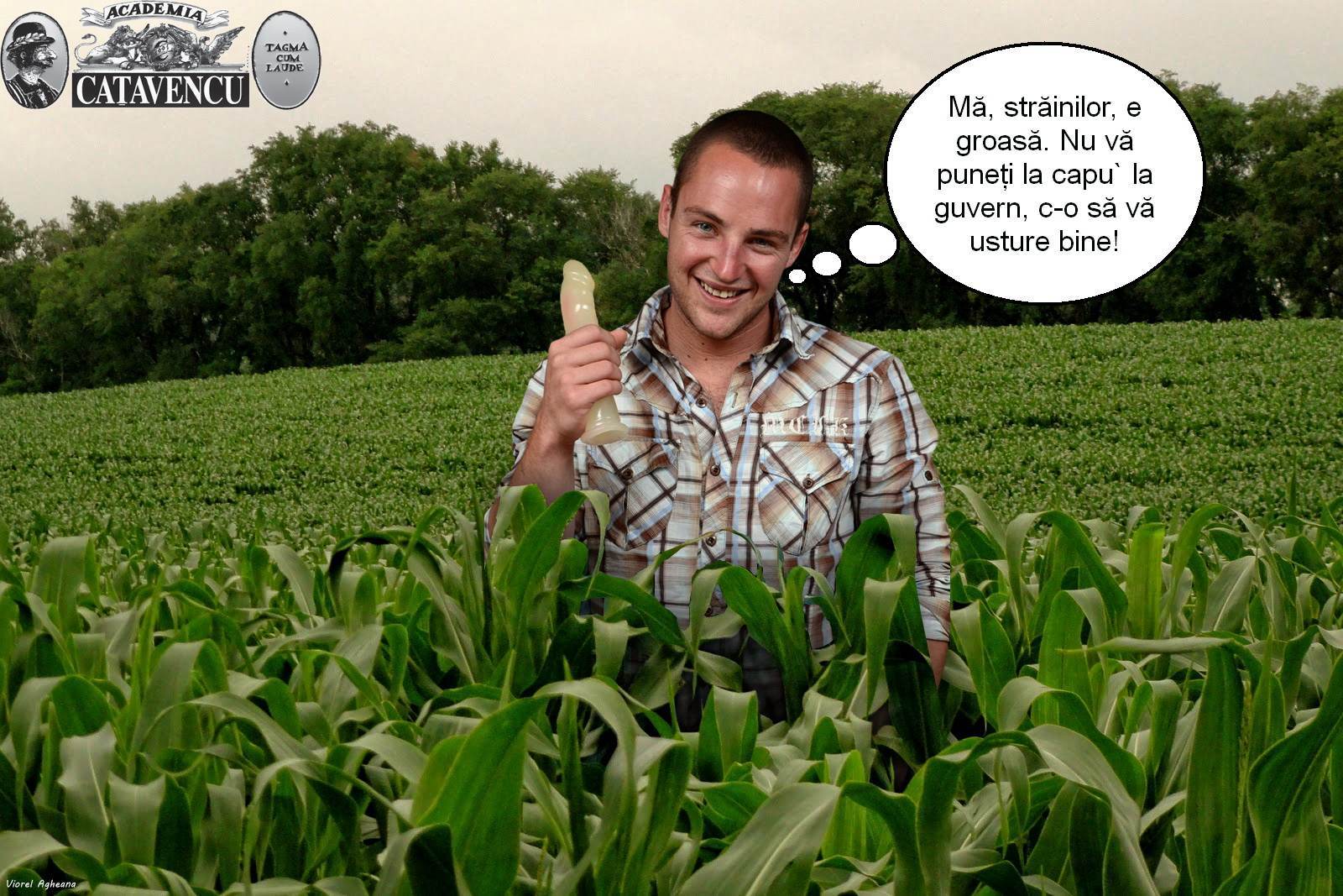 Ce-are sula cu Agricultura? - Academia Catavencu