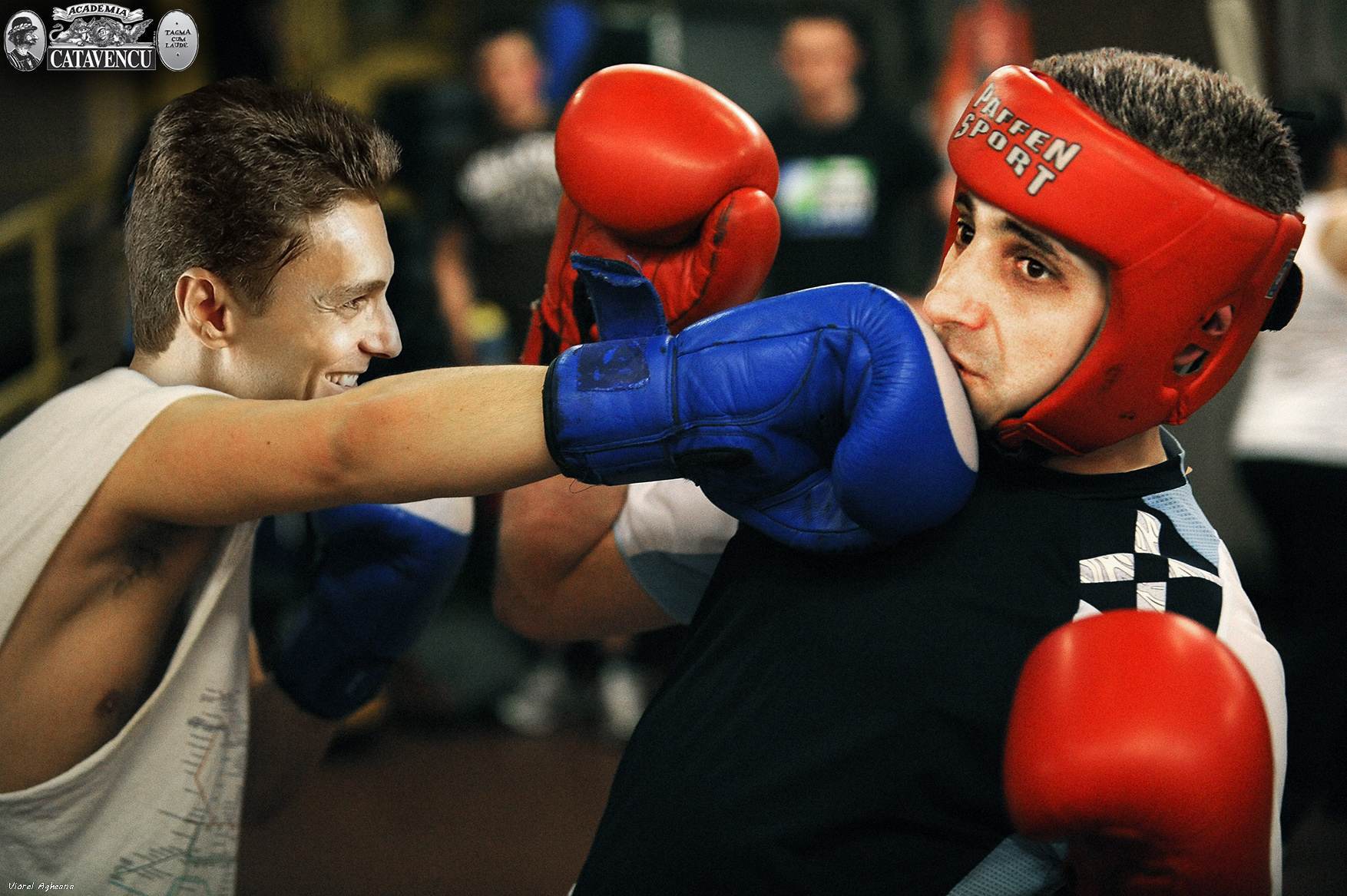 Box: Mircea „The Tongue” Badea vs Robert „Orange” Turcescu - Academia ...